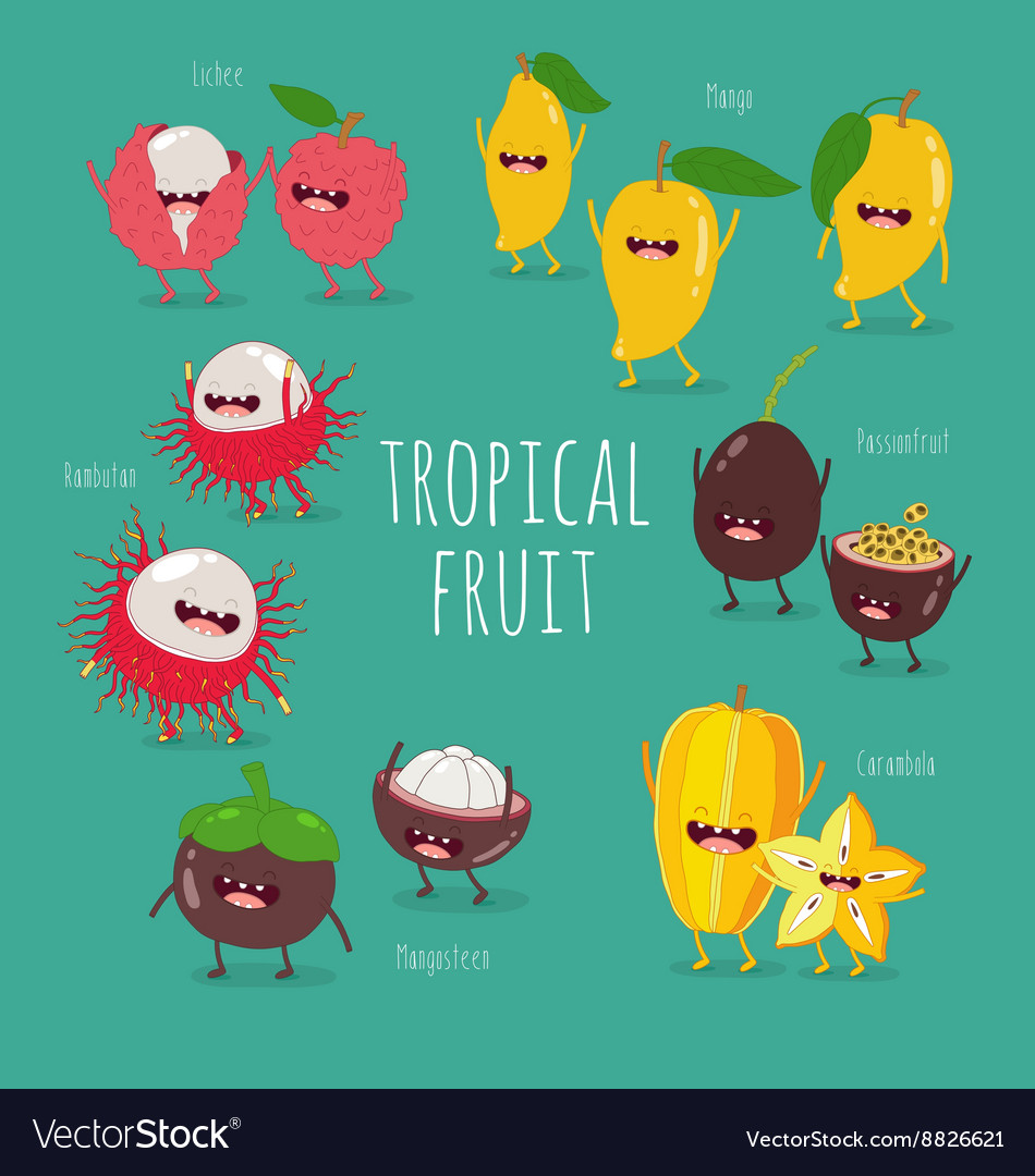 Tropical fruit Royalty Free Vector Image - VectorStock