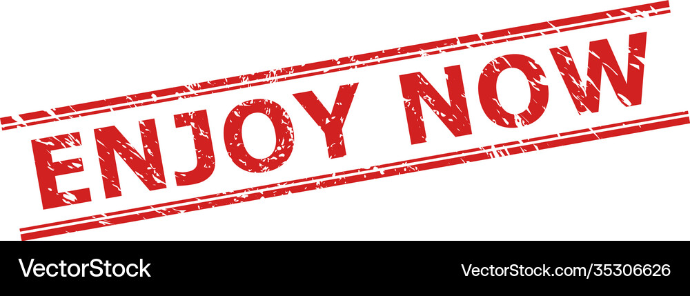 Enjoy now stamp with grunge surface and double Vector Image