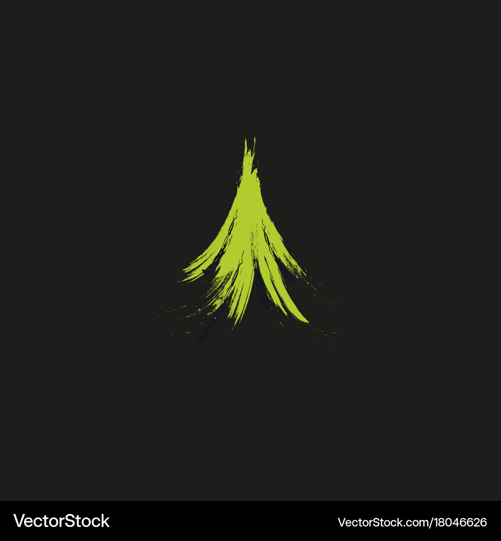Evergreen coniferous green color needles tree Vector Image