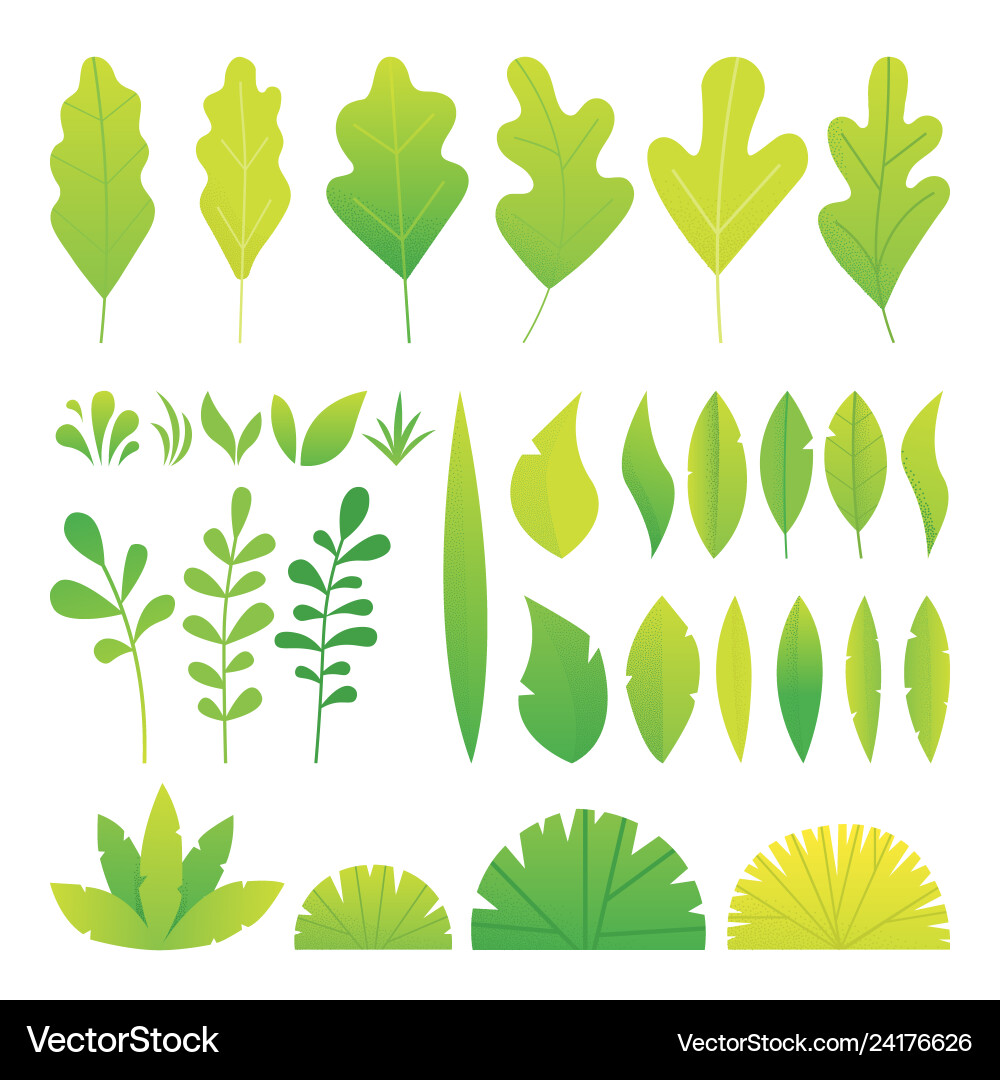 Green gradation color leaves wit noise gradient Vector Image