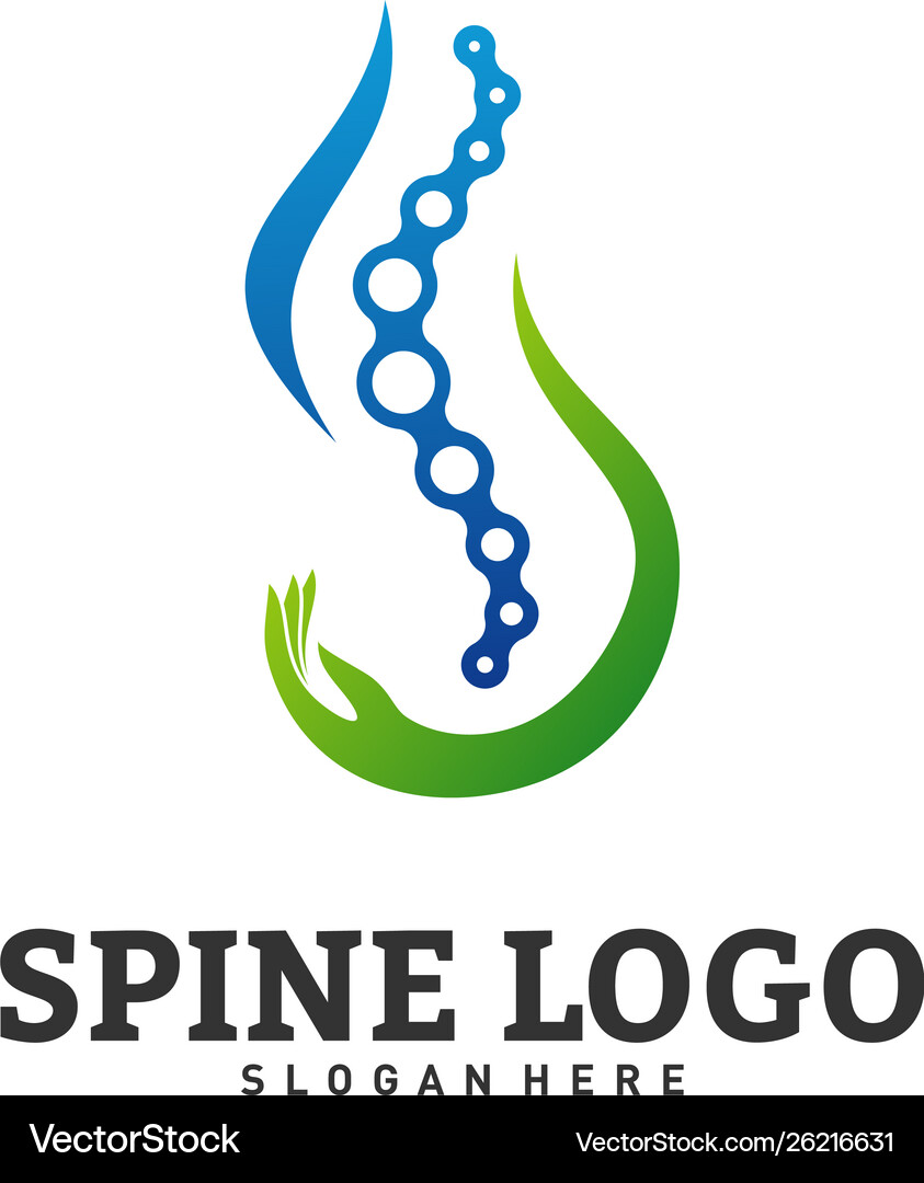 Spine care logo design concept chiropractic Vector Image