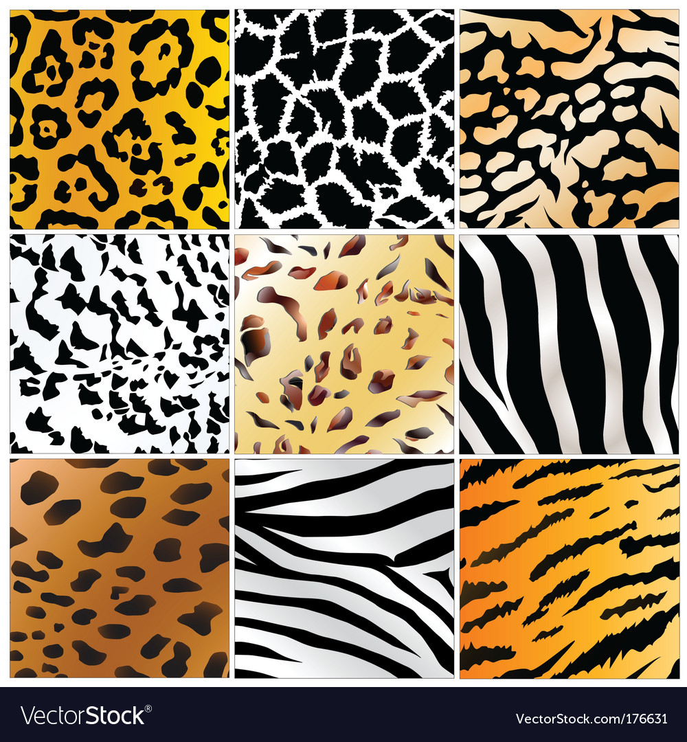 Wild patterns Royalty Free Vector Image - VectorStock
