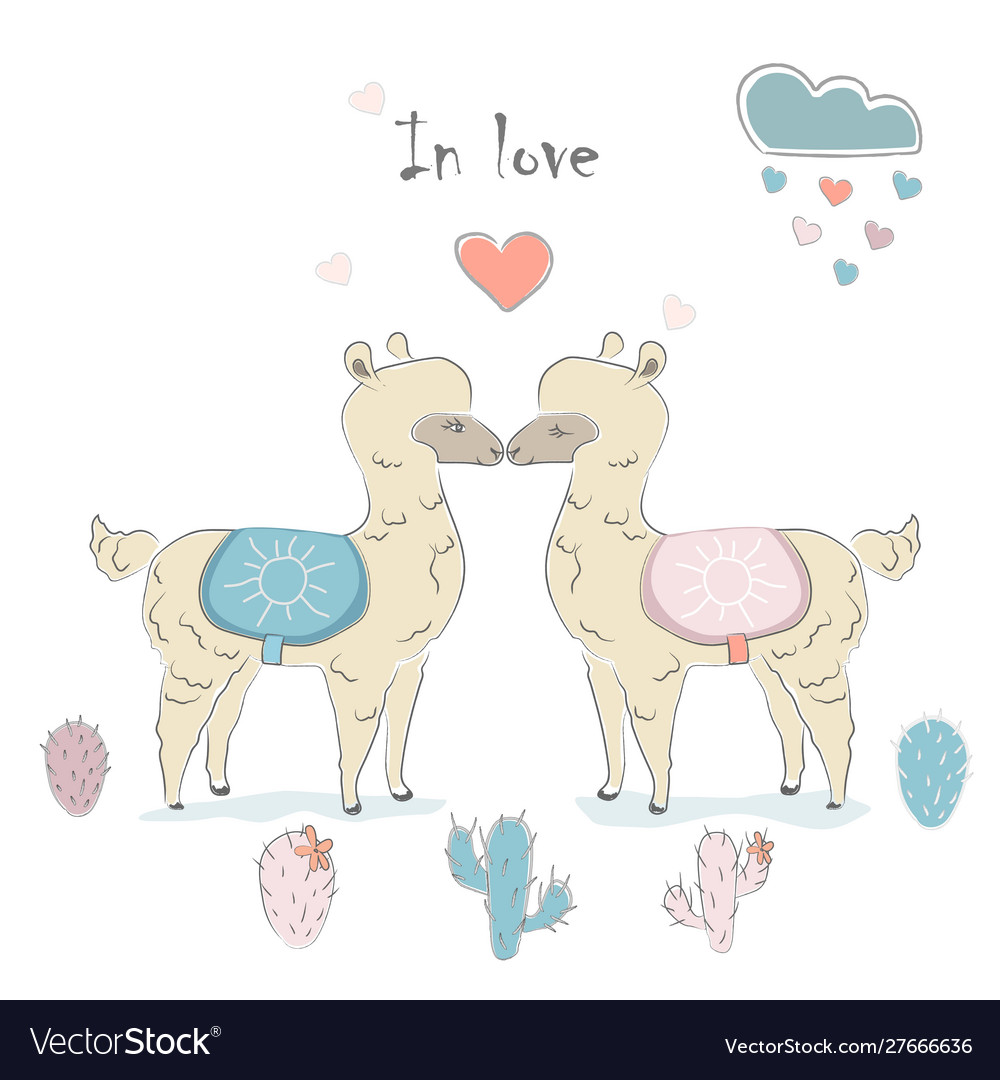 Cute alpaca couple Royalty Free Vector Image - VectorStock