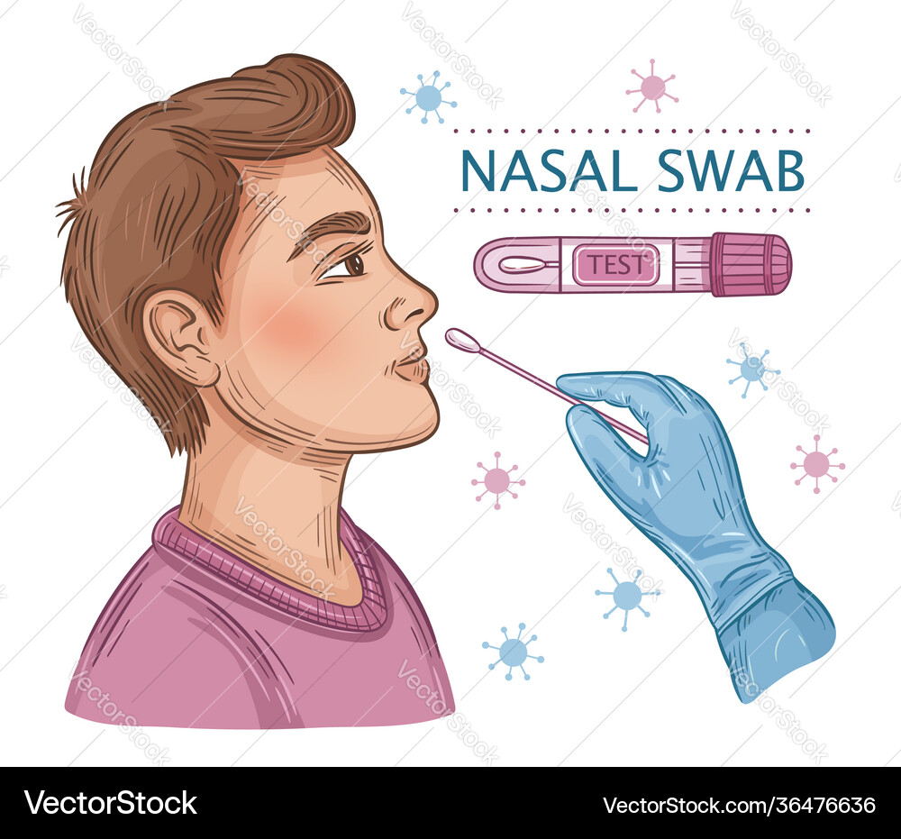 Nasal swab test probe dna pcr coronavirus testing Vector Image