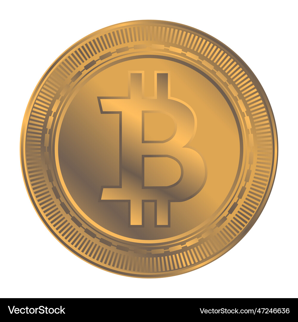 Stylized image of digital currency coin Royalty Free Vector