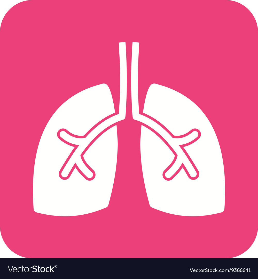 Lungs Royalty Free Vector Image - VectorStock