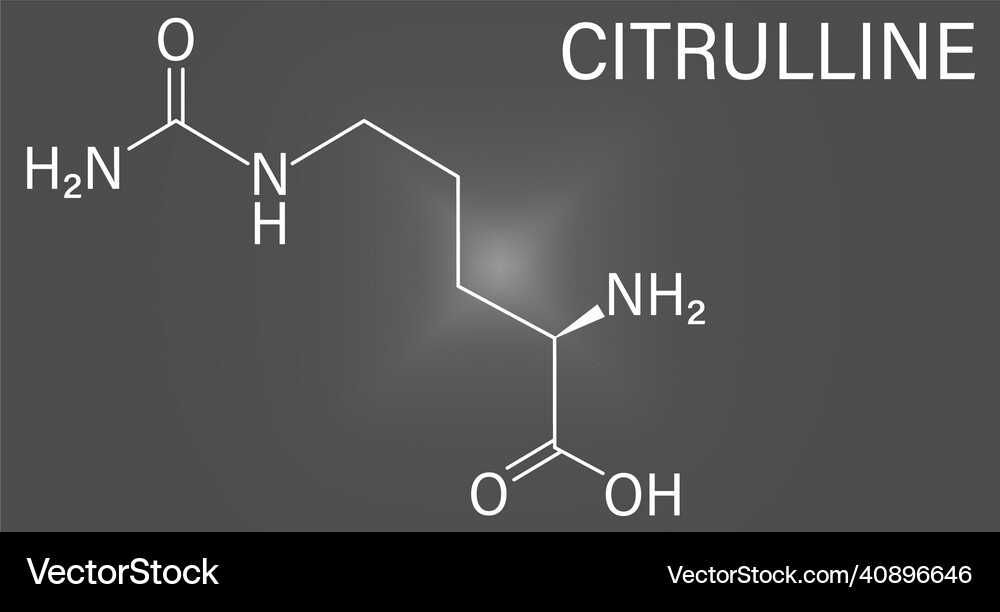 Citrulline amino acid molecule skeletal formula Vector Image