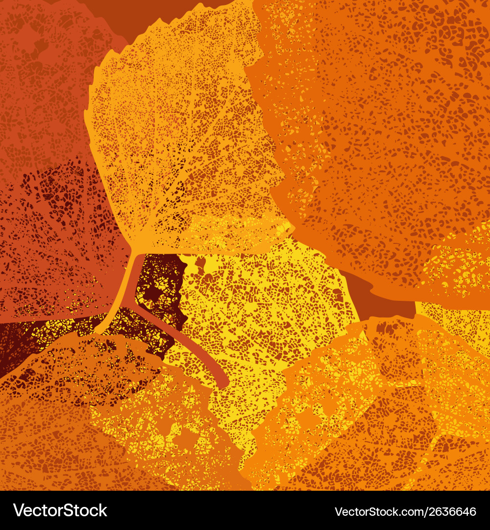 Dry autumn leaves template eps 10 Royalty Free Vector Image