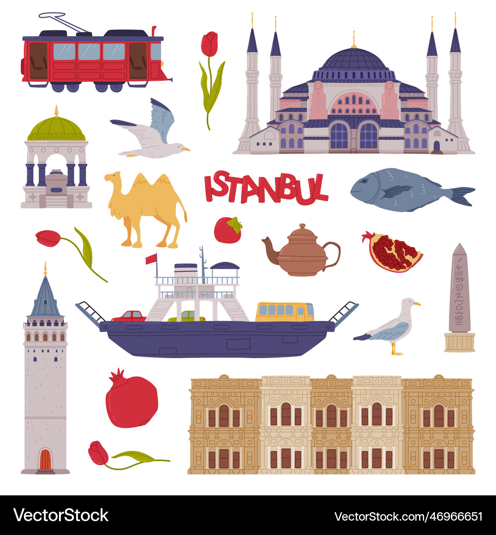 Traditional istanbul symbols and attribute Vector Image
