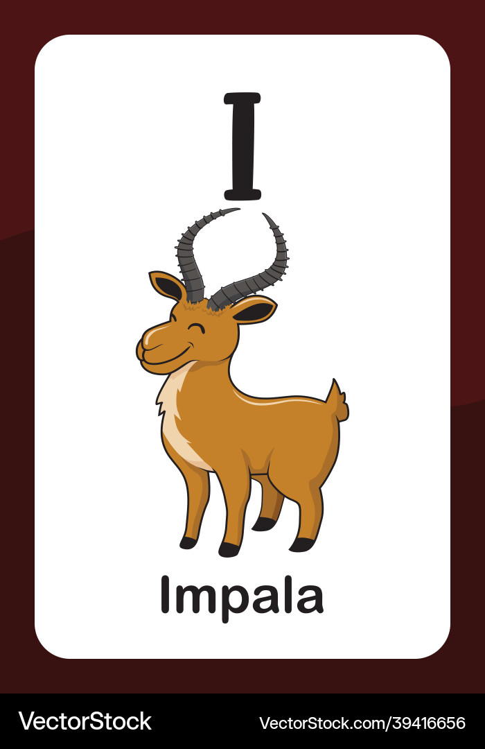 Animal alphabet flashcard - i for impala Vector Image