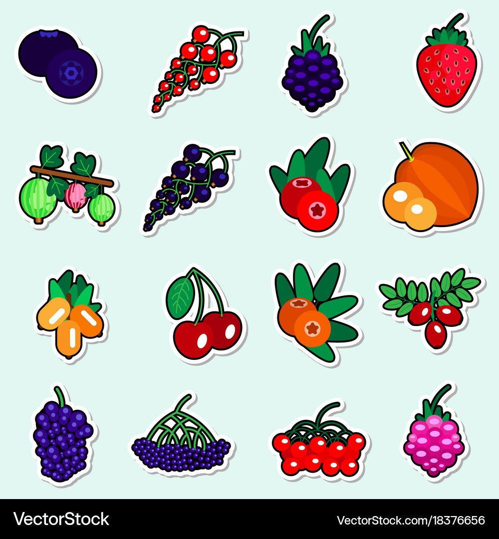 Autumn berries stickers set on blue background Vector Image