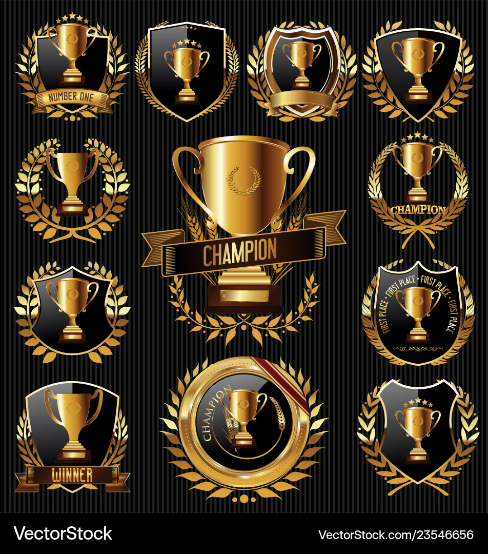 Award design badges and labels collection Vector Image