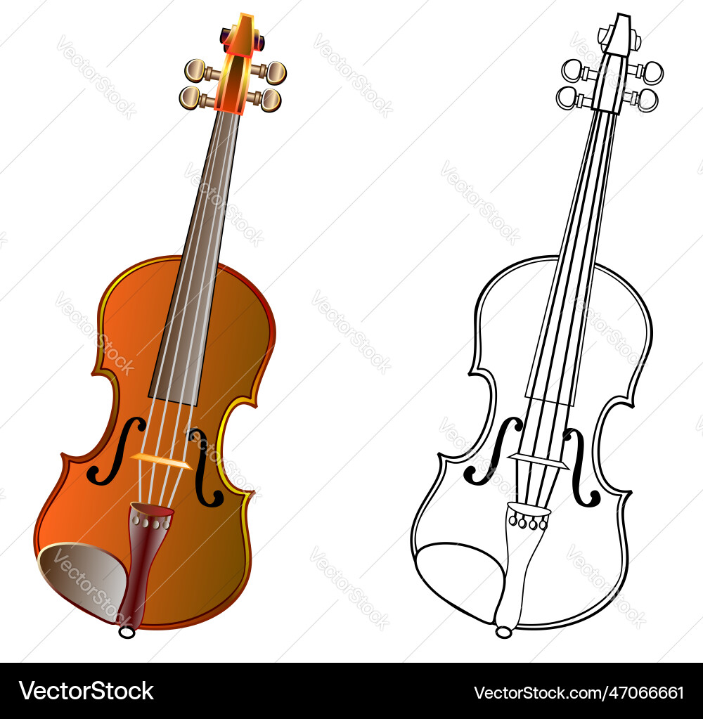 Colorful and black and white pattern violin Vector Image
