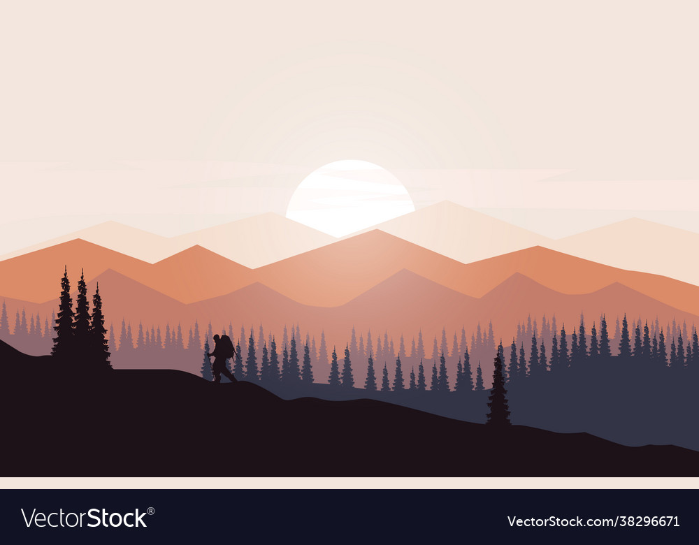 Flat landscape dense pine forest with beautiful Vector Image