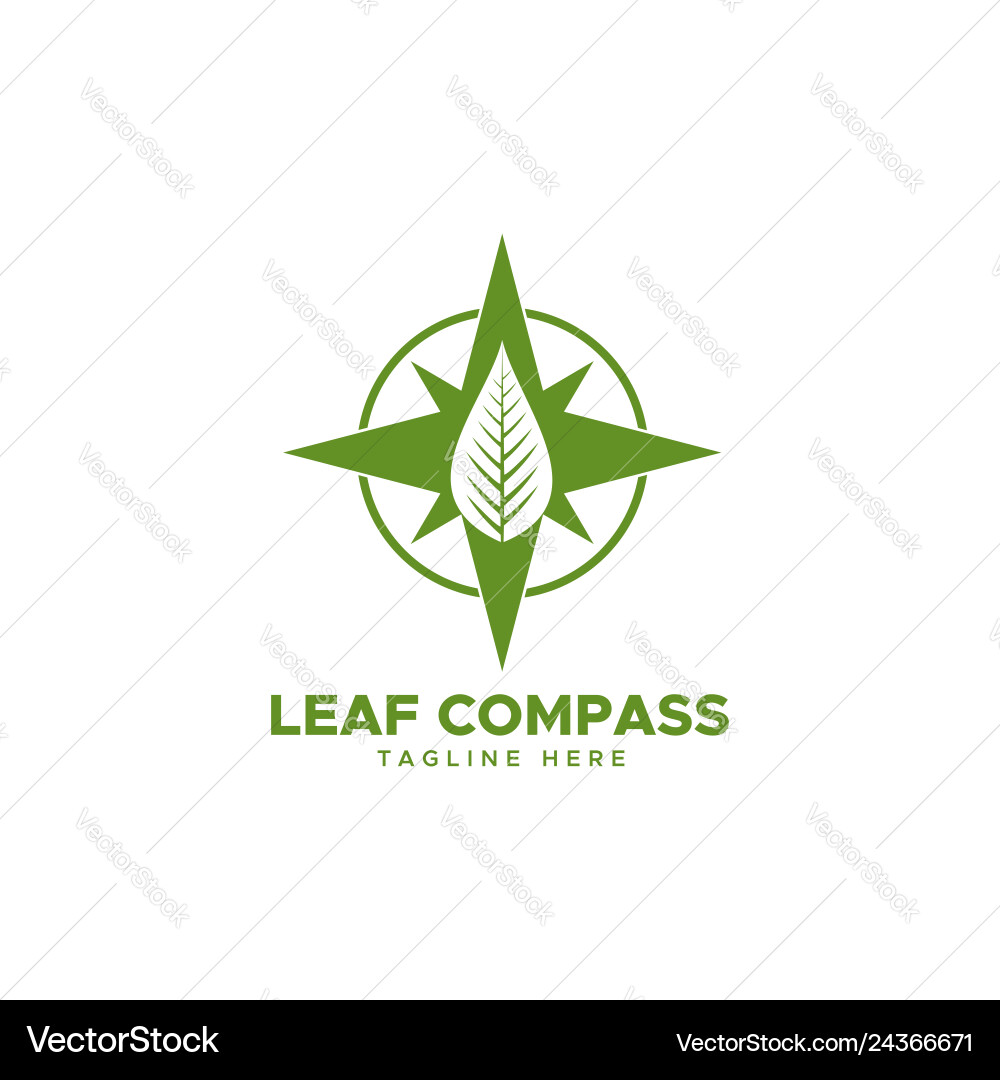 Leaf compass logo Royalty Free Vector Image - VectorStock