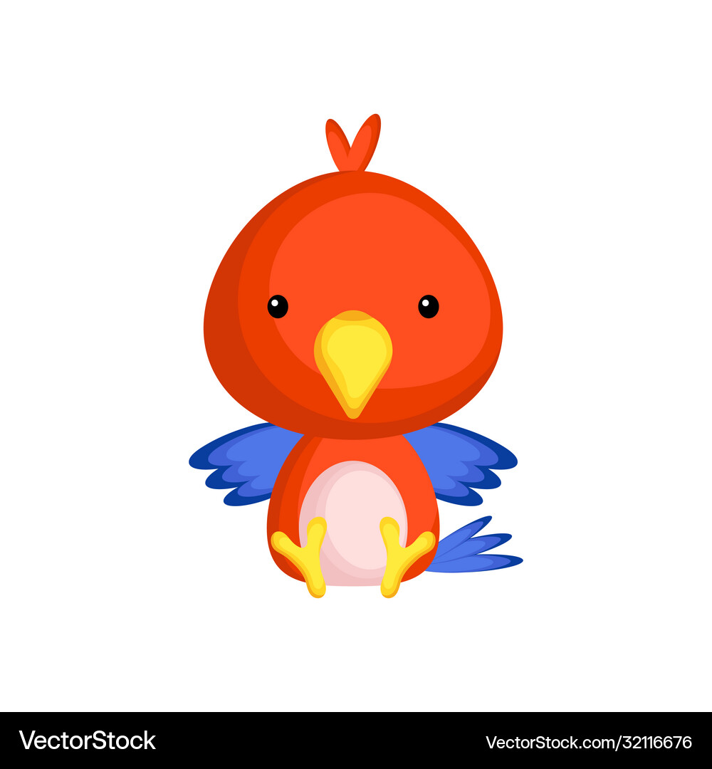 Cute Baby Parakeets