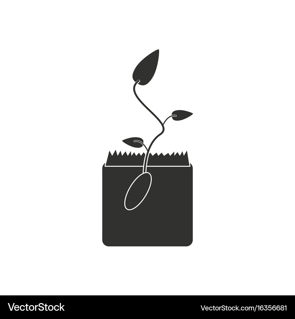 Black icon on white background flower buds Vector Image