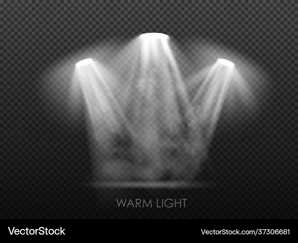 Warm light set bulb on a transparent background Vector Image