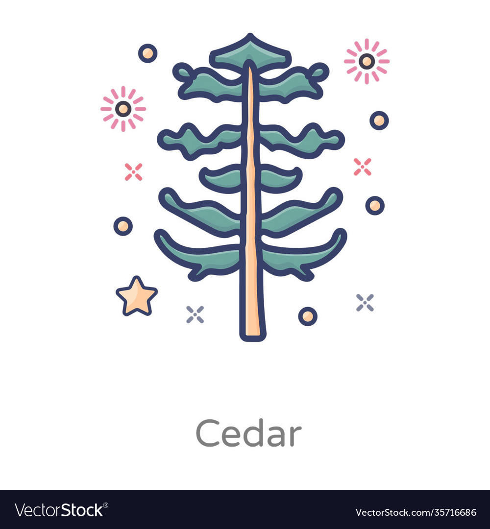 Cedar tree Royalty Free Vector Image - VectorStock