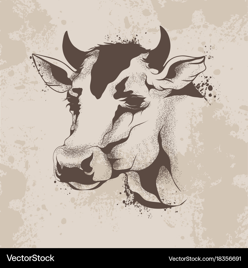 Graphic ink drawing sketch head a cow Royalty Free Vector