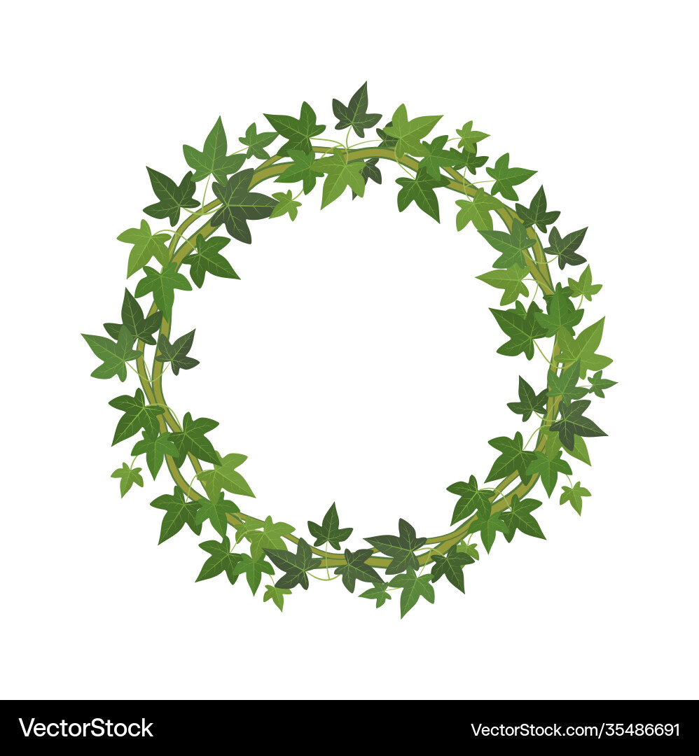 Green ivy circle frame wreath fresh leaves Vector Image