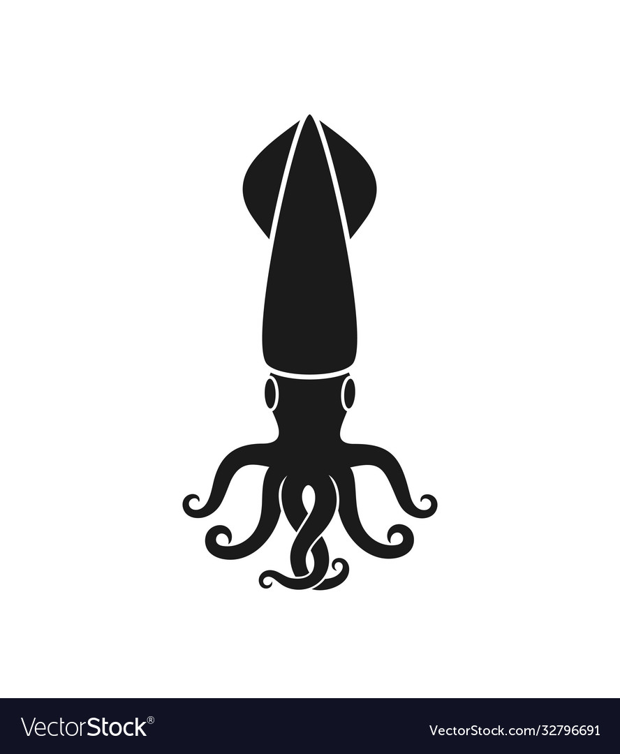 Squid Royalty Free Vector Image - VectorStock