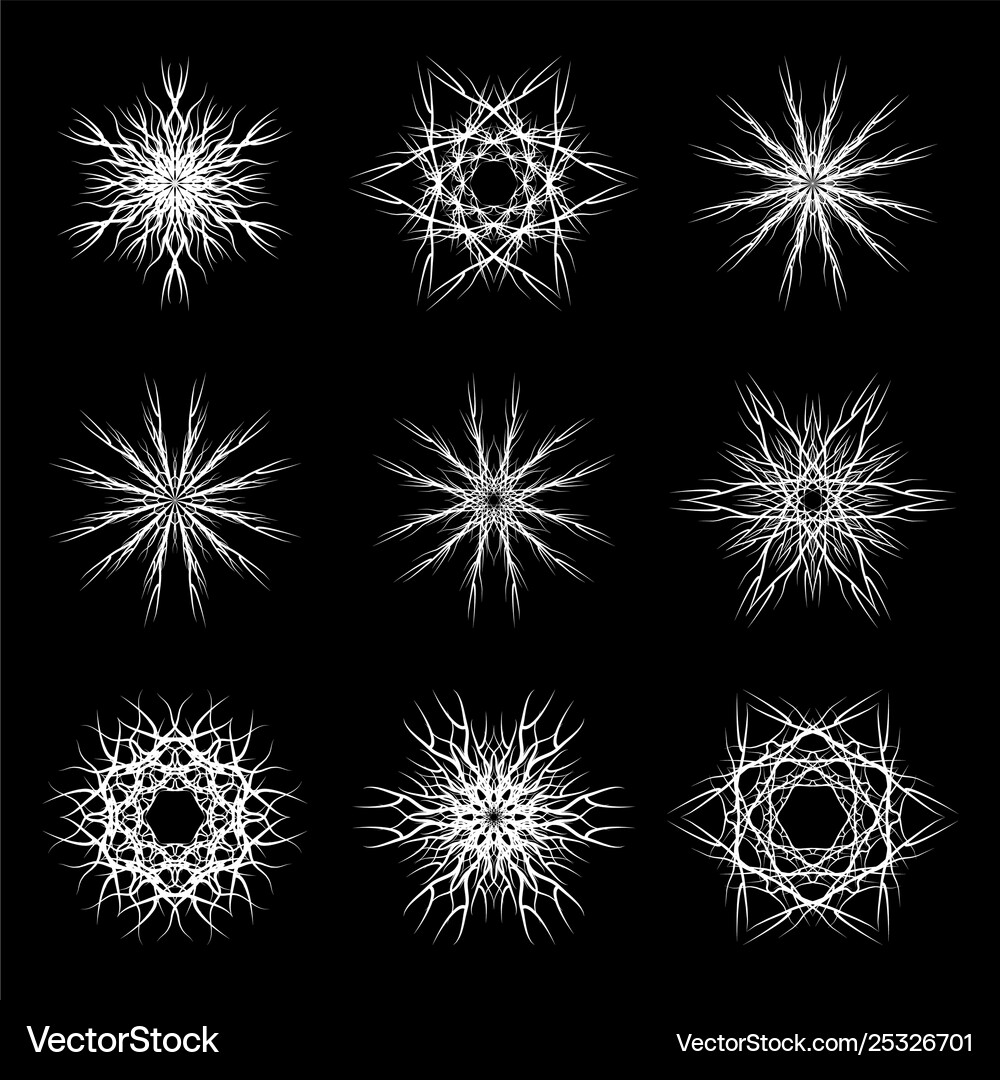 Christmas snowflake frozen flake silhouette icon Vector Image