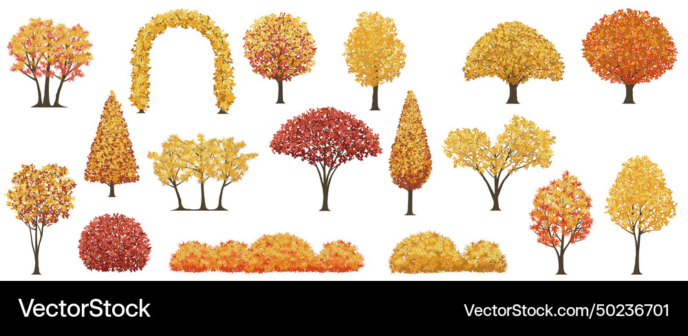 Trees and shrubs in autumn colors set Royalty Free Vector