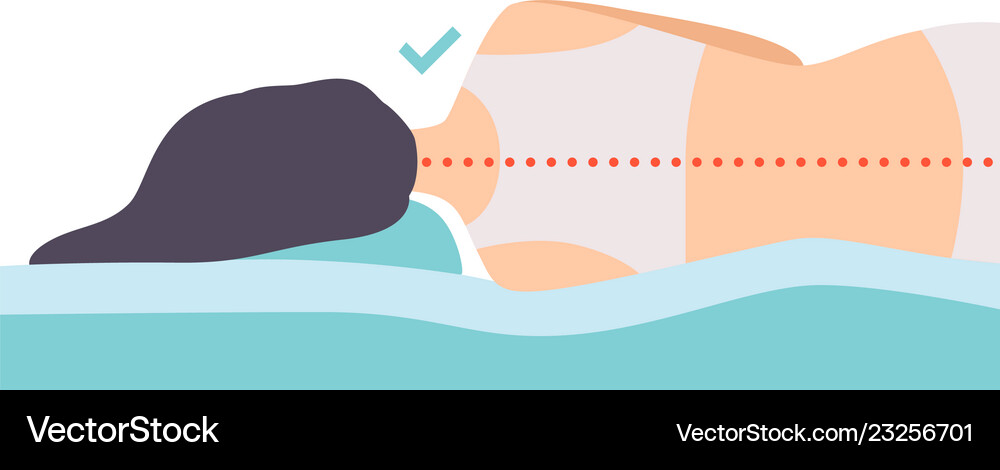 Woman lying on her side seen from behind correct Vector Image