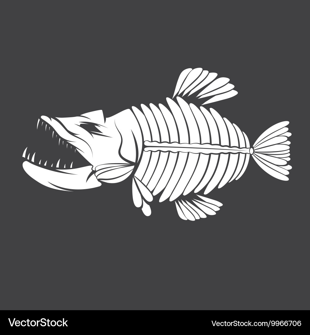 Design template of aggressive tropical fish Vector Image