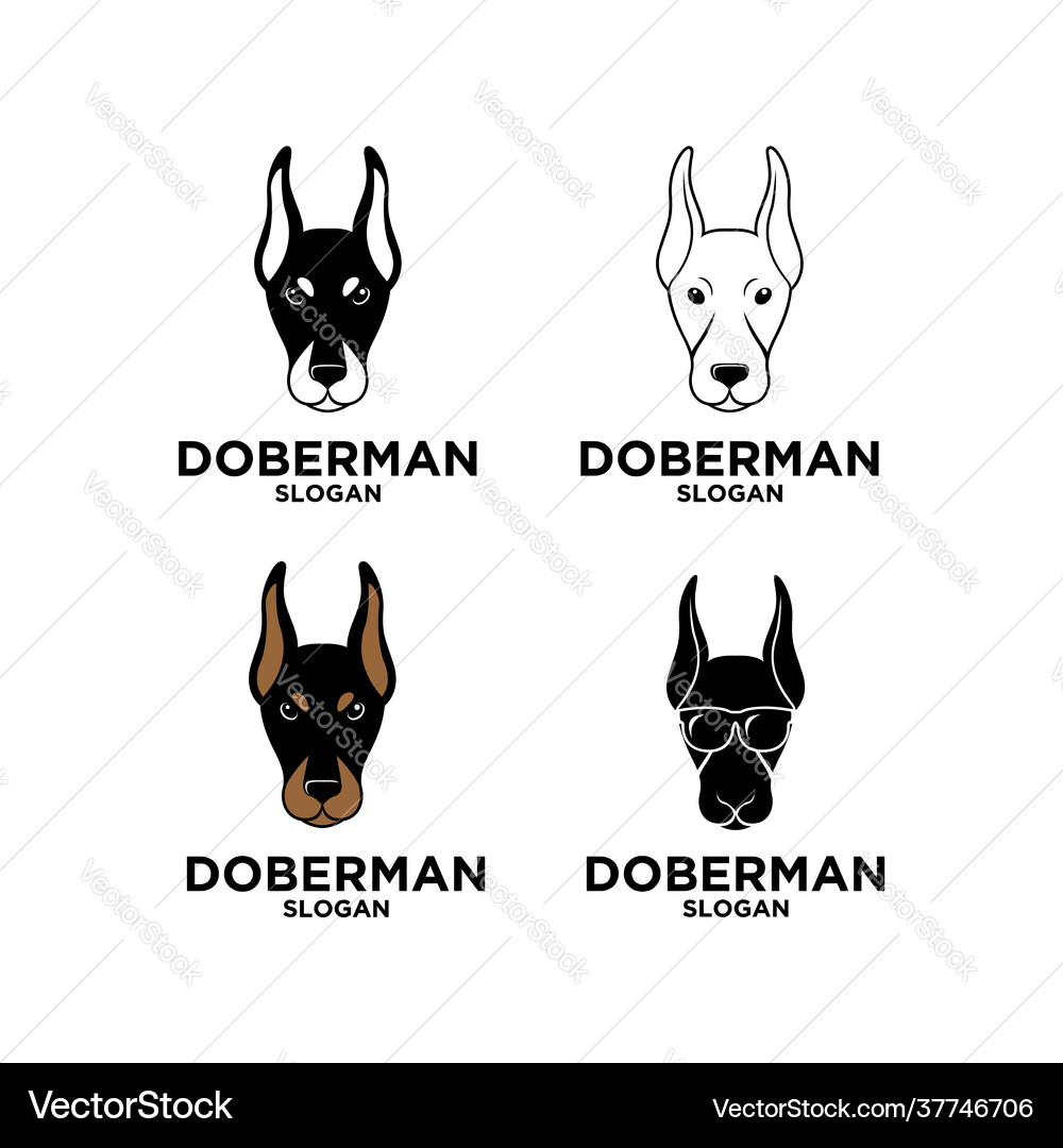 Set collection doberman dog head logo icon design Vector Image