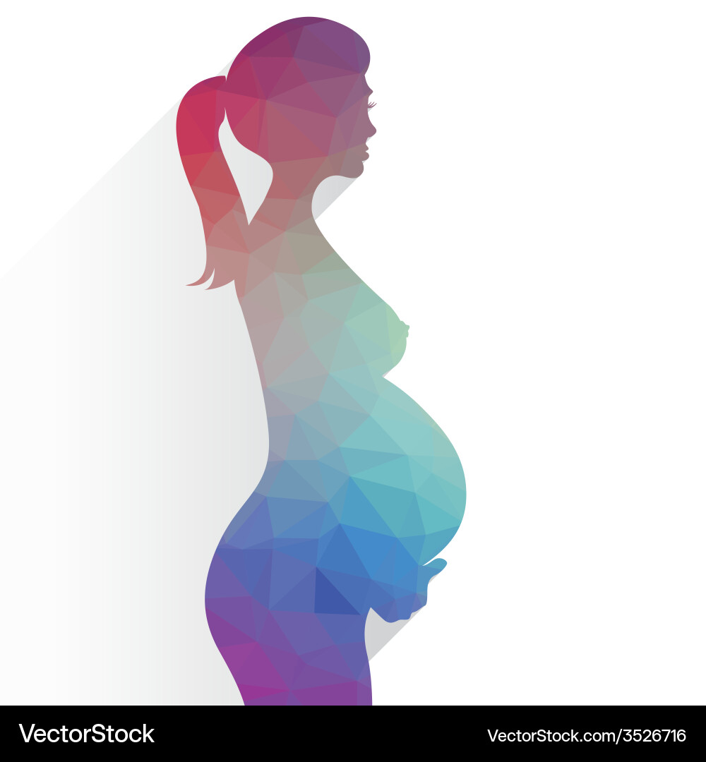 Pregnant woman Royalty Free Vector Image - VectorStock