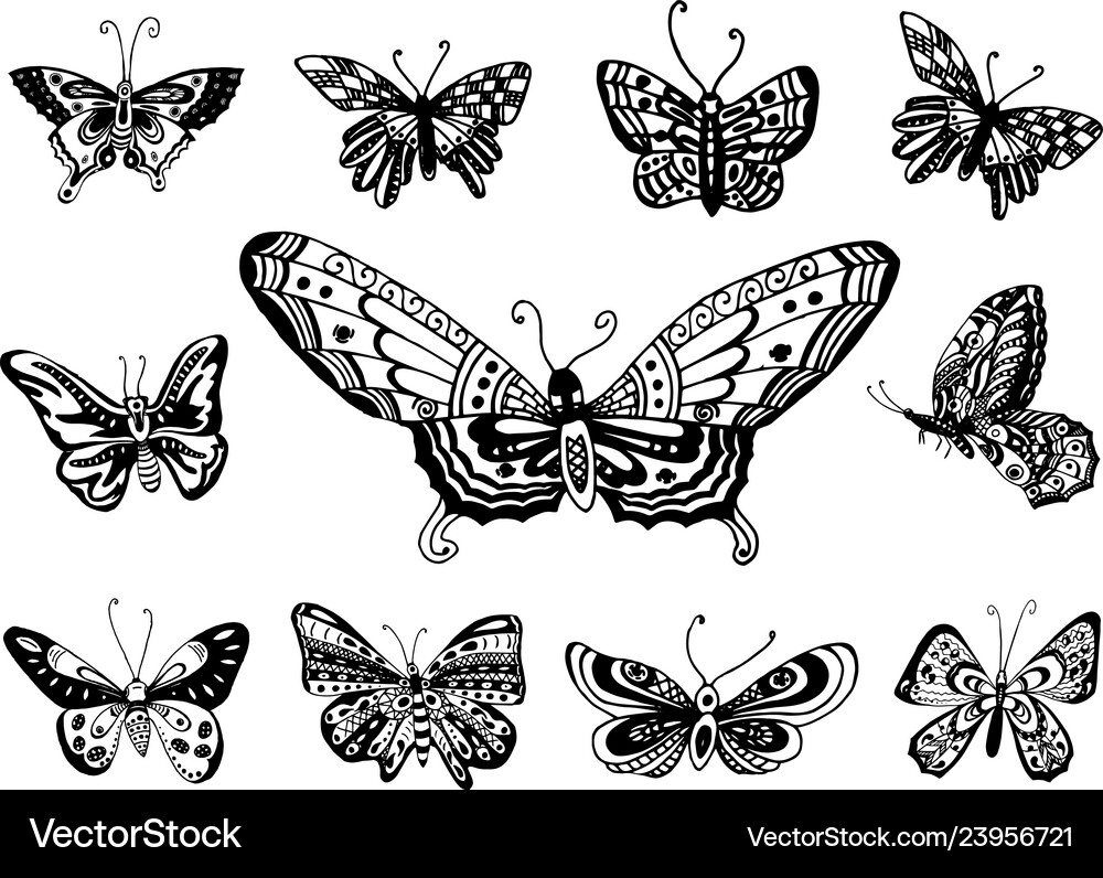 Hand drawn sketch of butterfly Royalty Free Vector Image