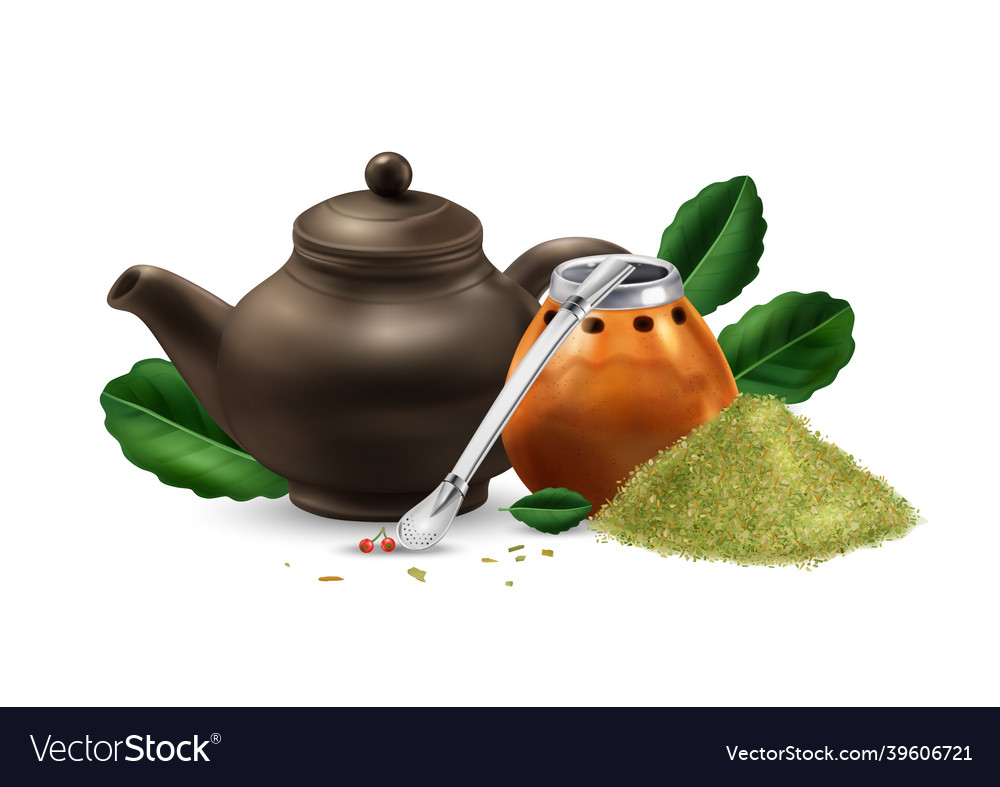 Realistic mate tea Royalty Free Vector Image - VectorStock
