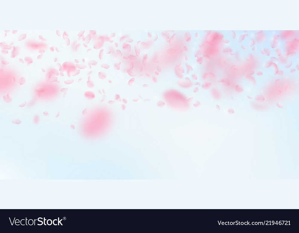 Sakura petals falling down Royalty Free Vector Image