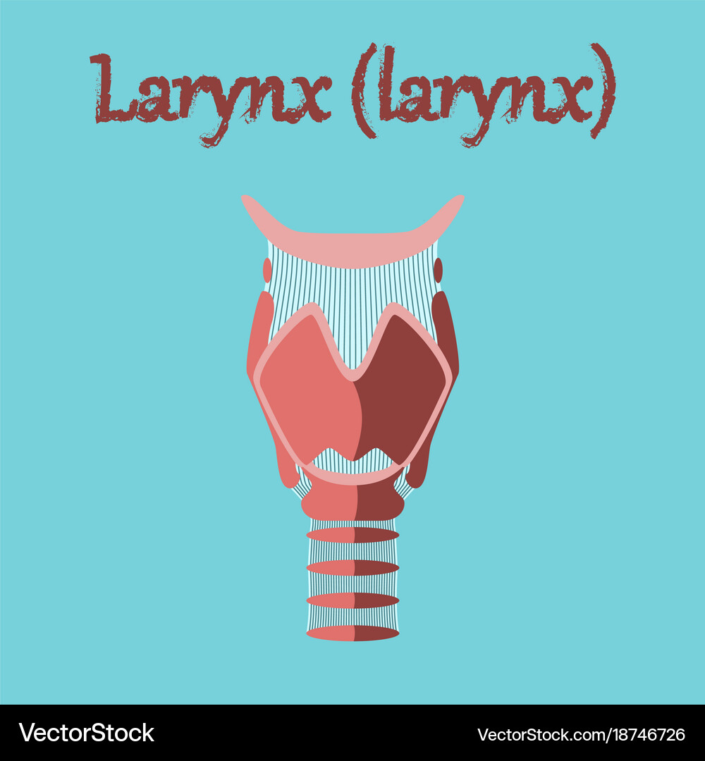 Human organ icon in flat style larynx Royalty Free Vector