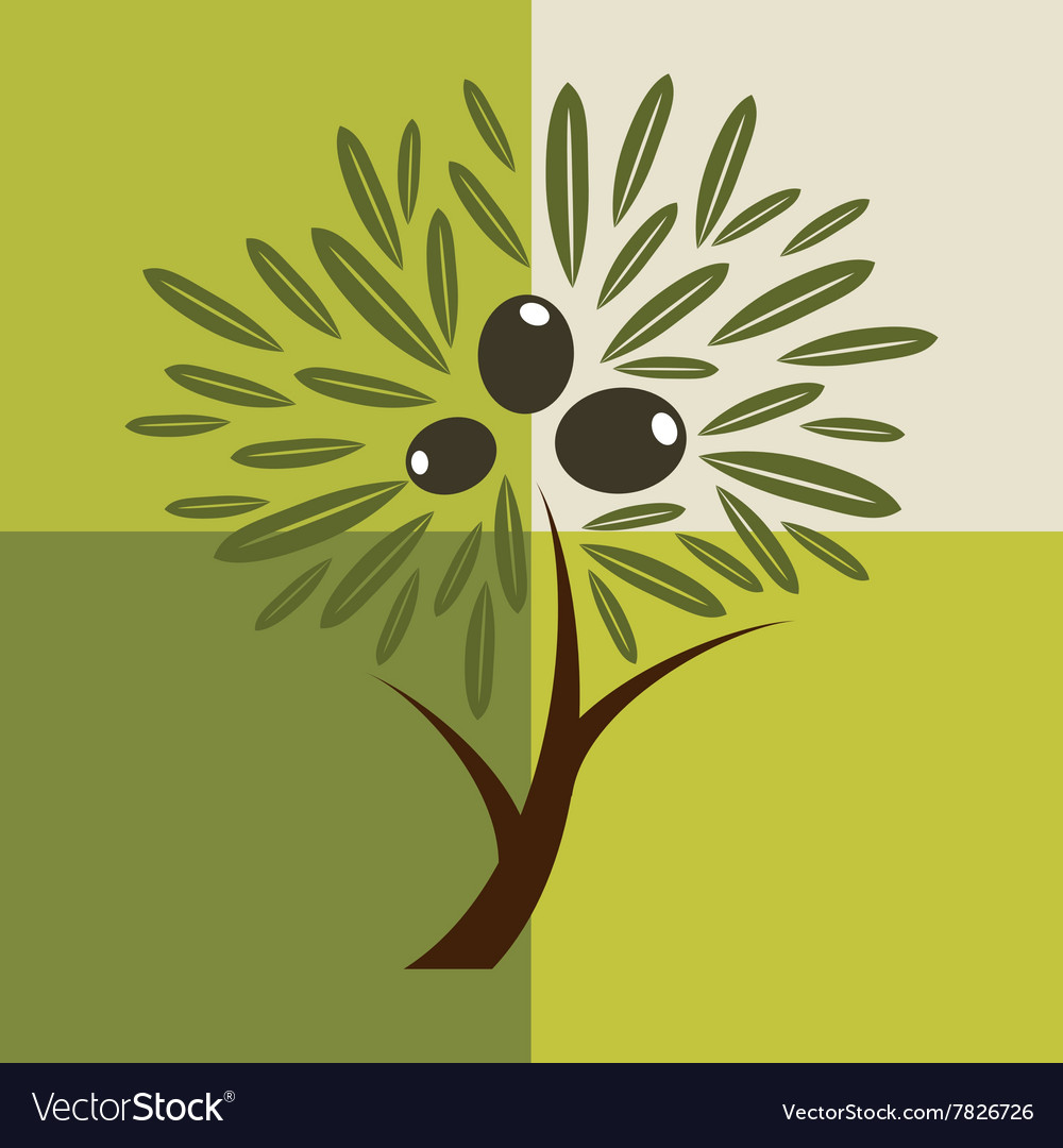 Olive tree background Royalty Free Vector Image