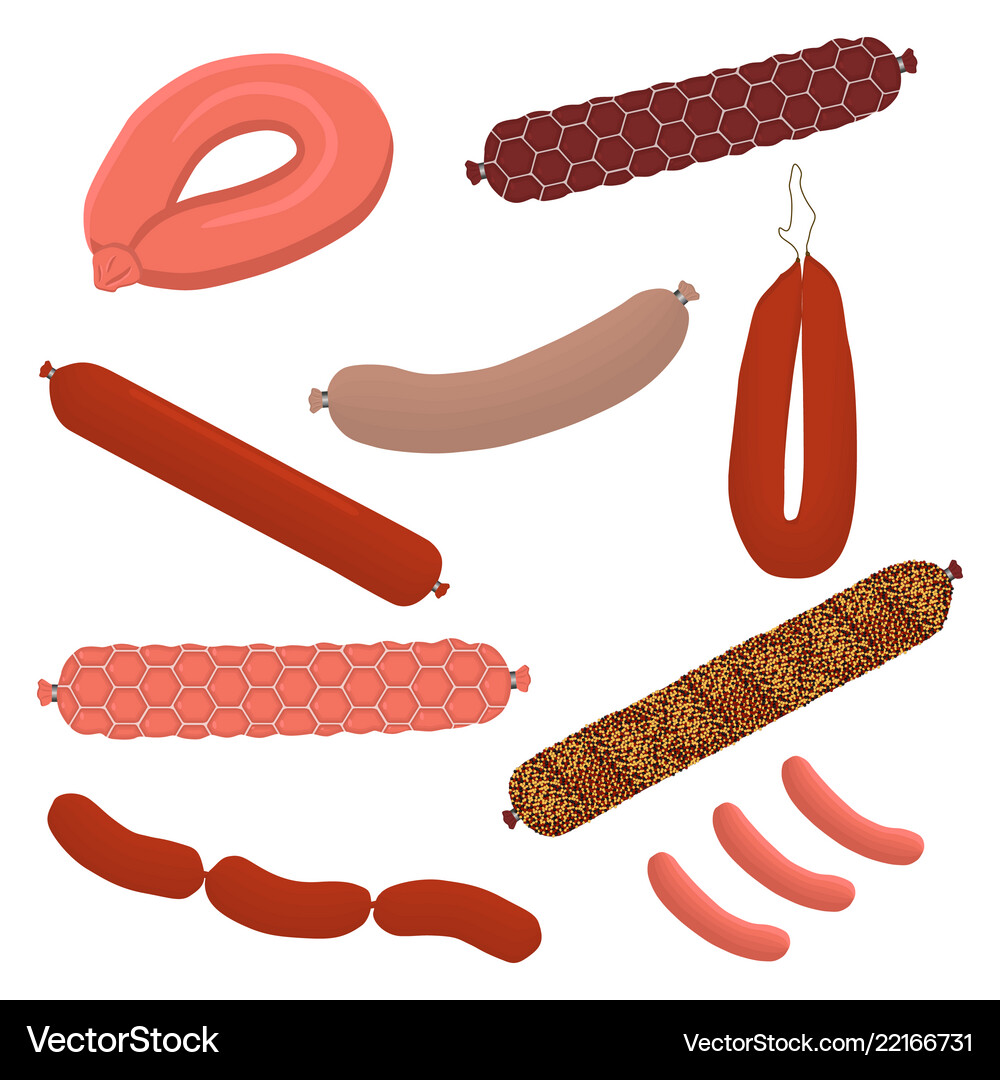 For set whole sausage salami Royalty Free Vector Image