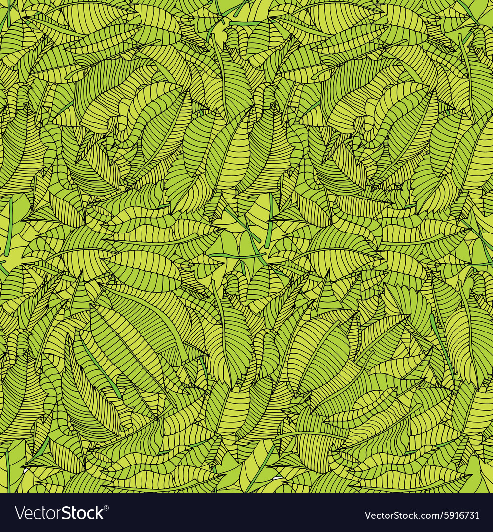 Leaf background Royalty Free Vector Image - VectorStock