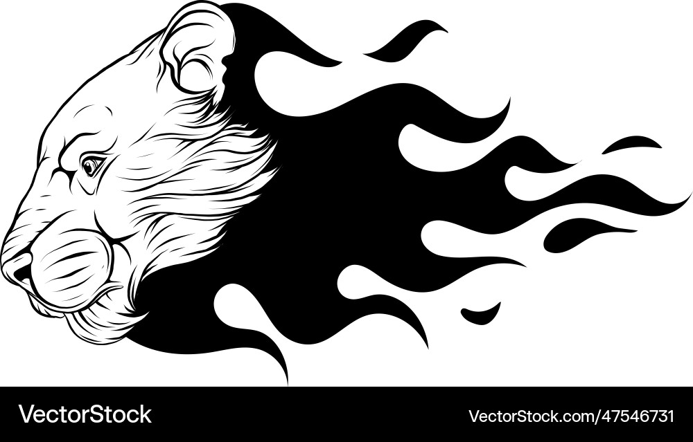 Of lion head outline design Royalty Free Vector Image