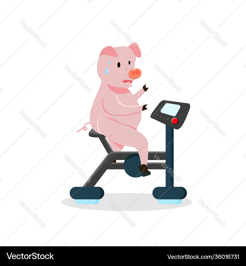 Pig exercise cycling for healthy diet cute Vector Image
