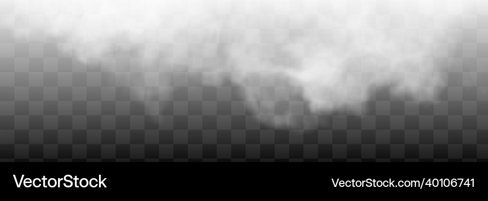 Transparent special effect stands out with fog Vector Image