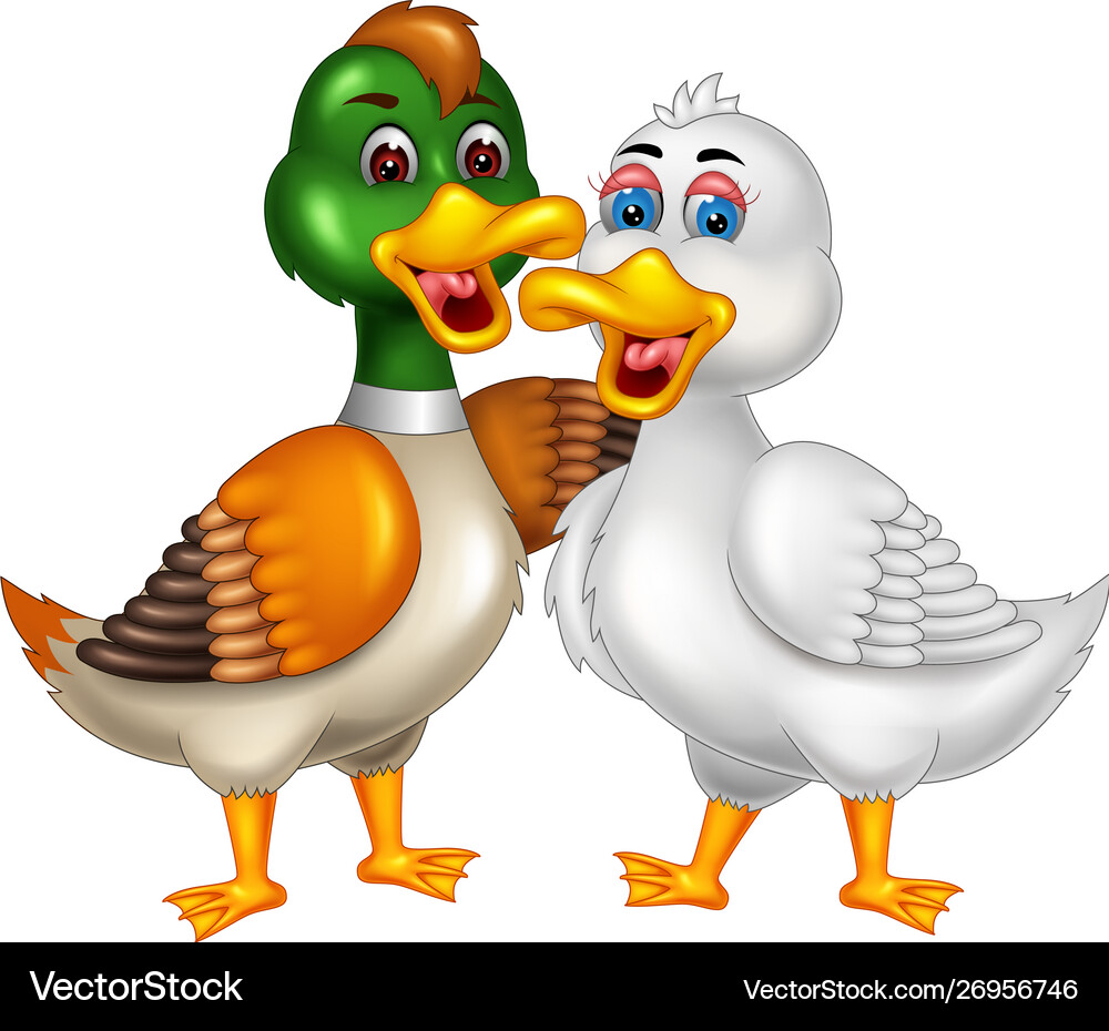 White Duck Clipart