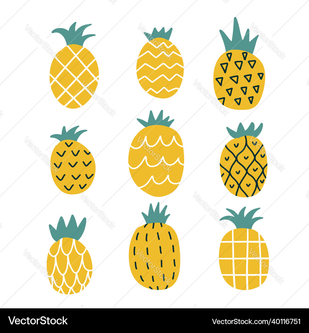 Set of stylized pineapples of various texture Vector Image