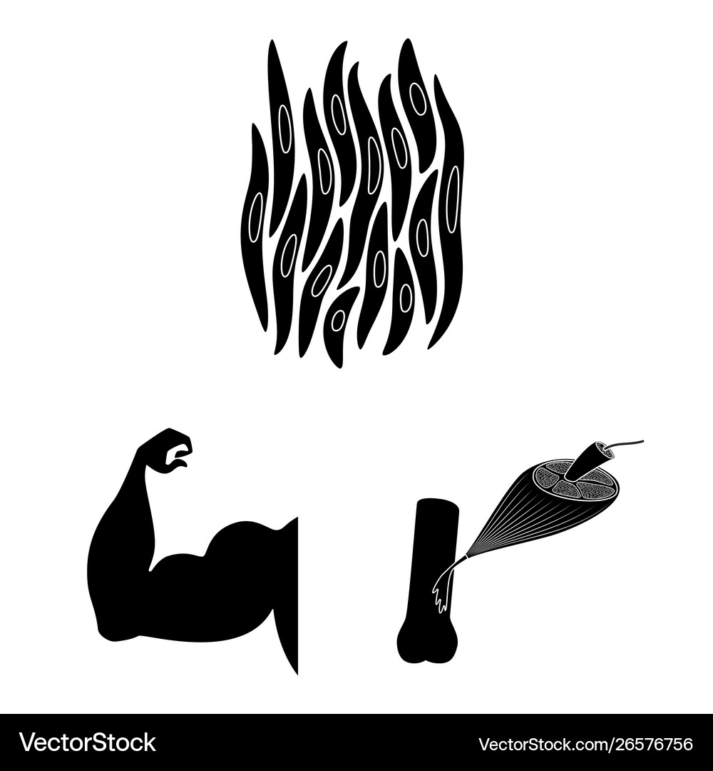 Design human and body icon set Royalty Free Vector Image