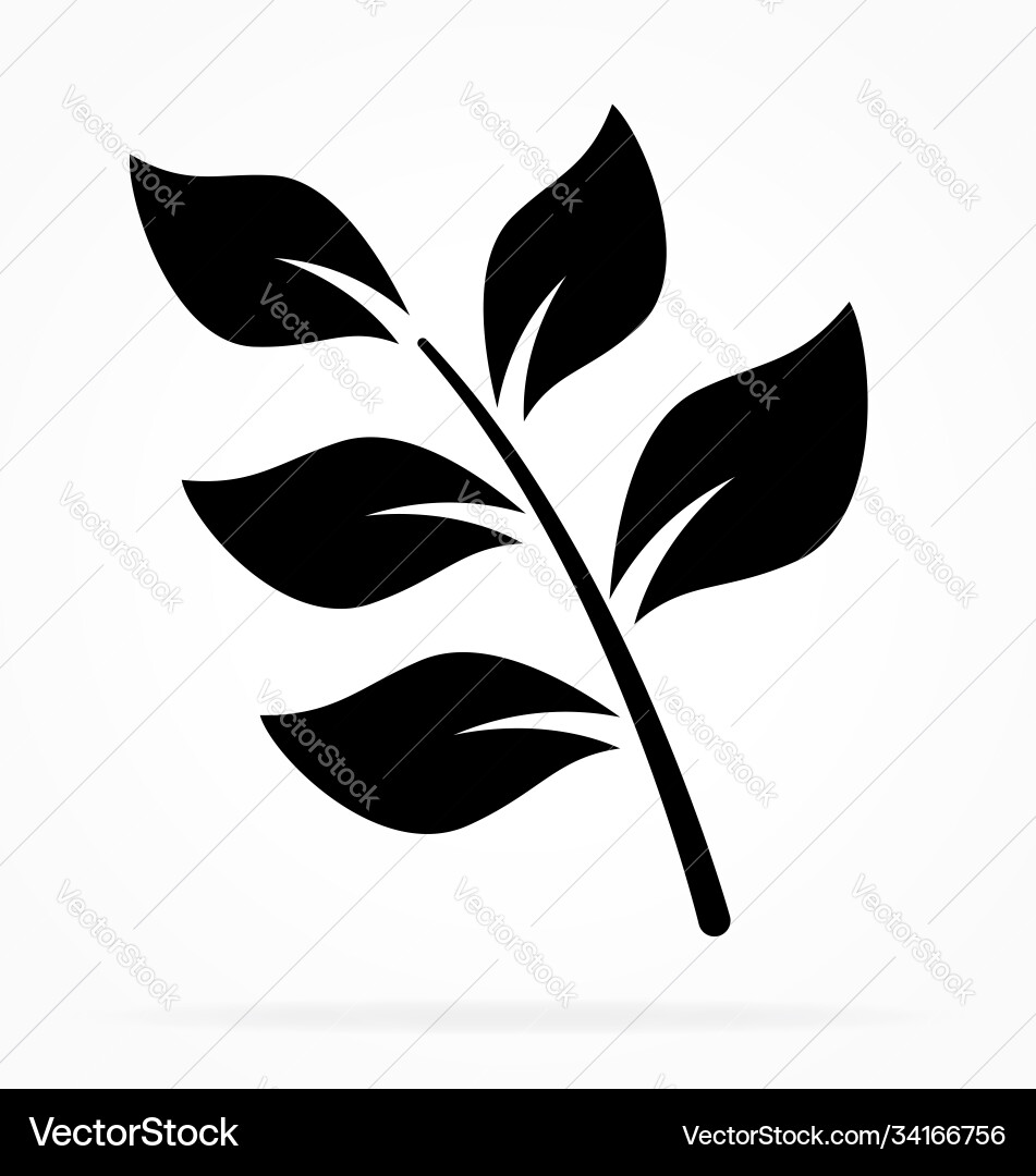 Fresh leaves branch black and white Royalty Free Vector