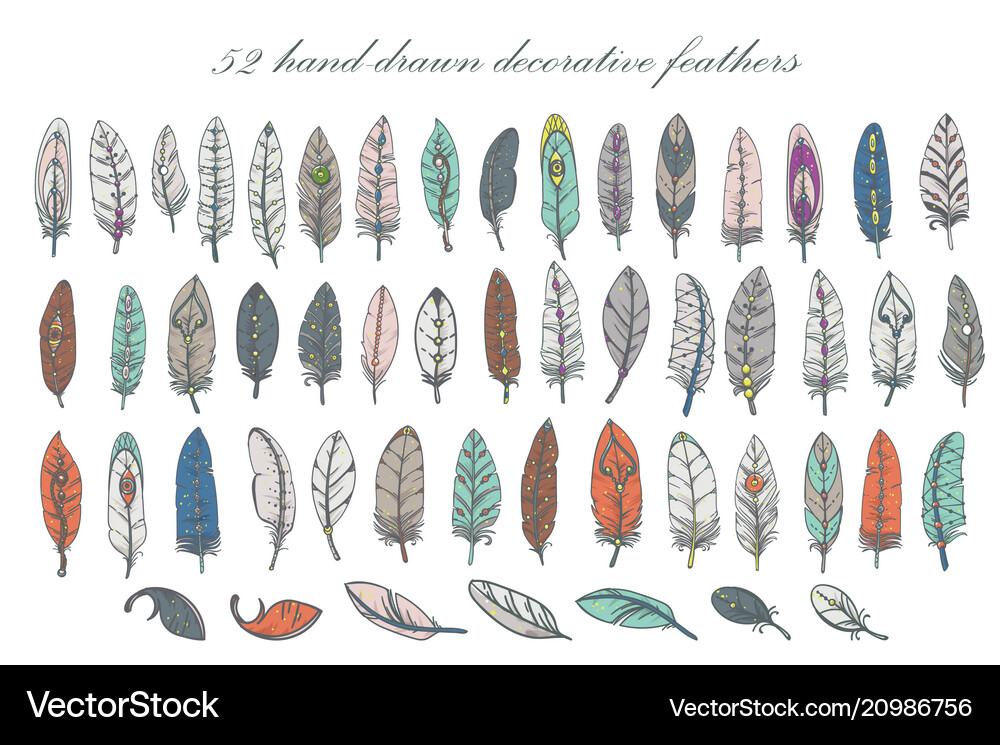 Set of hand-drawn decorative feathers Royalty Free Vector