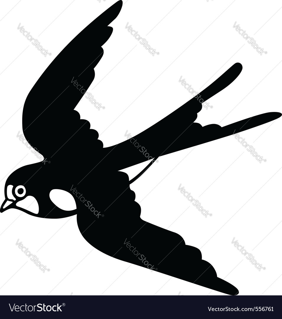 Bird Royalty Free Vector Image - VectorStock