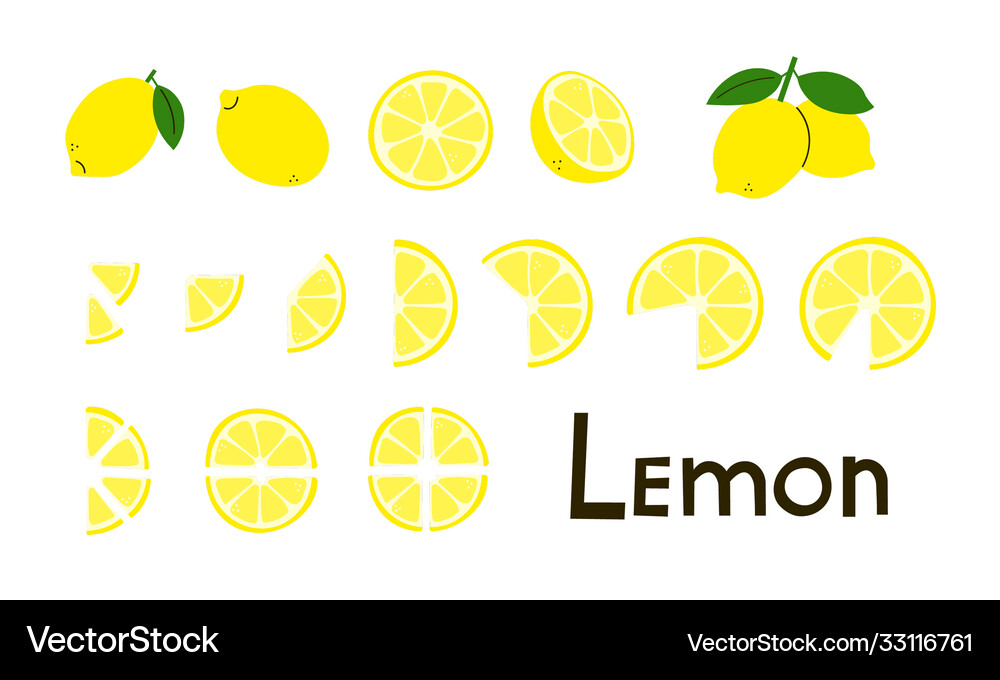 Citrus fruit lemons lemon whole and cut half Vector Image