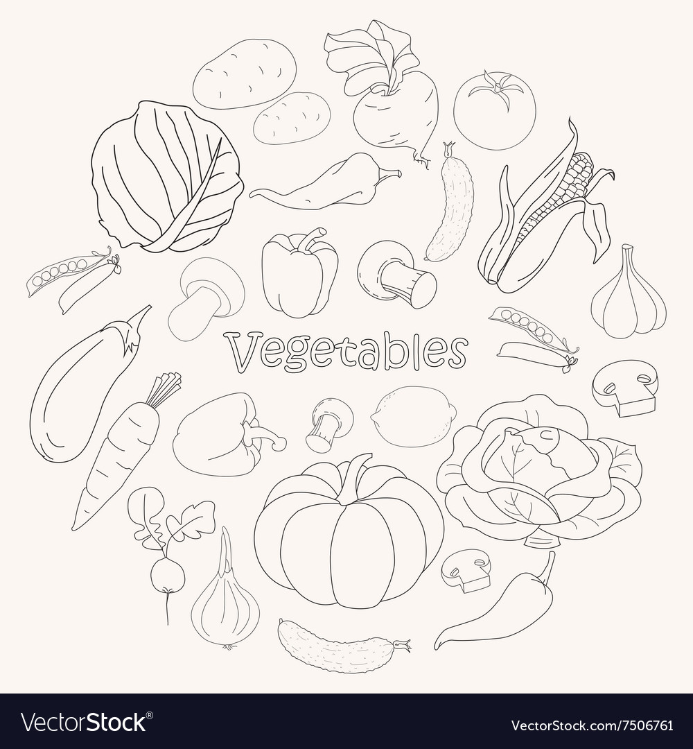 Collection of vegetables Royalty Free Vector Image